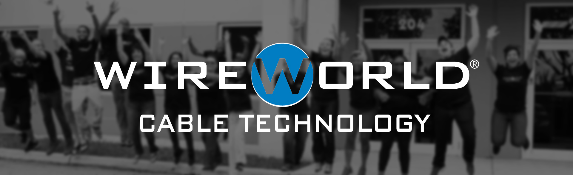 Wireworld「Series 10」登場！Series 8からどう進化した？オーディオケーブルの気になるポイント徹底解説 ...