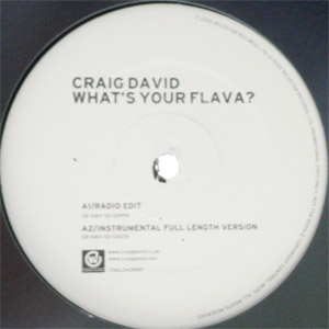 CRAIG DAVID(12) WHAT'S YOUR FLAVA ? -DJ機材アナログレコード専門店OTAIRECORD