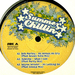 V.A.(12) PHAT MIX SUMMER CHILLIN -DJ機材アナログレコード専門店OTAIRECORD