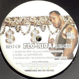 FLO RIDA(12) BEST OF FLO RIDA REMIXES -DJ機材アナログレコード専門店OTAIRECORD